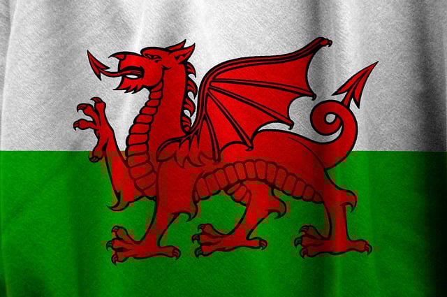 Welsh language promotion strategy - Neath Port Talbot Council