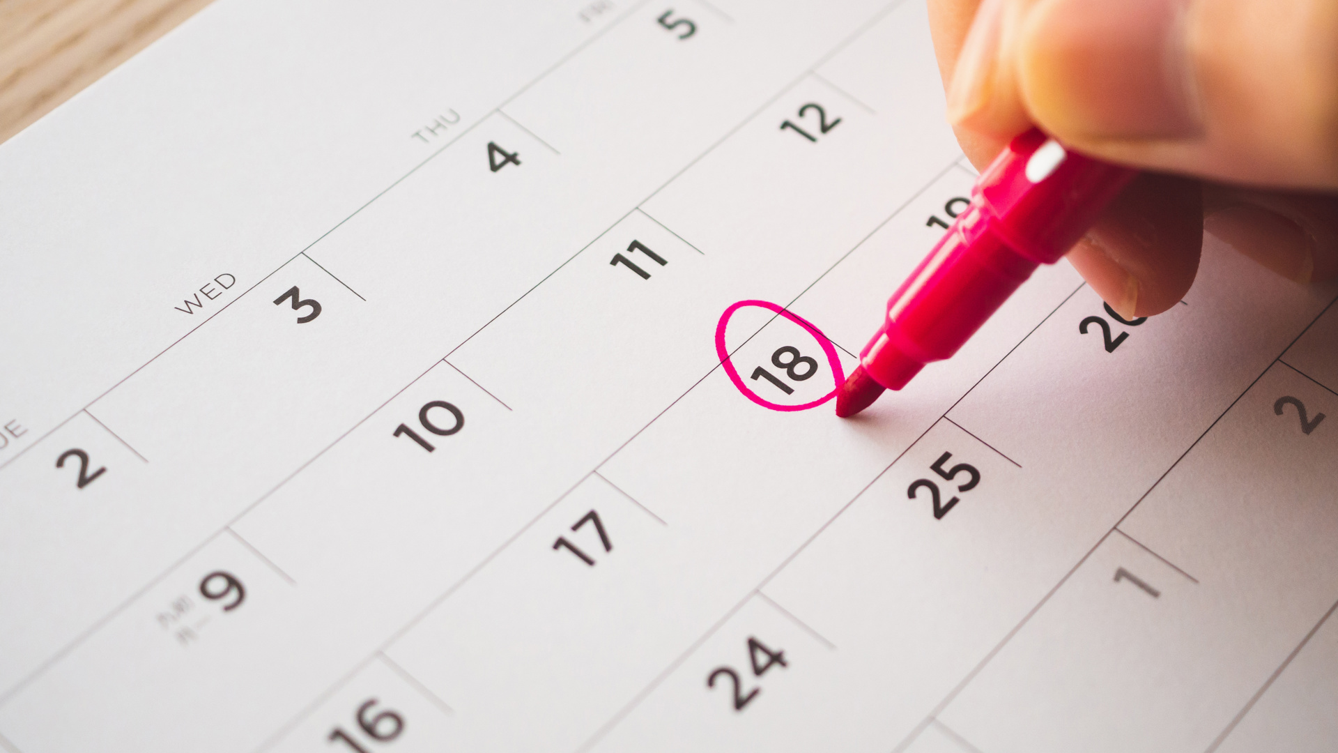 Bin Day Finder - NPT Council